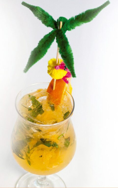 Recipe of the Month: Chef’s Special Tropical Cocktail - Costa Rica Real ...