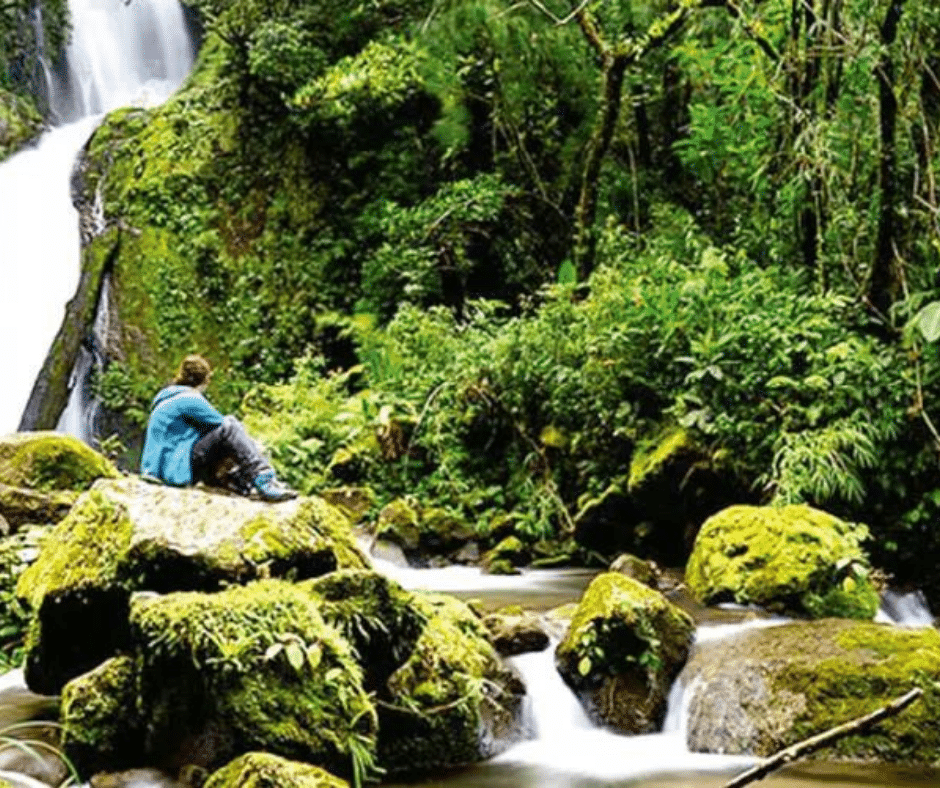 Benefits of Nature-Costa Rica Natural High - Howlers Costa Rica Real ...