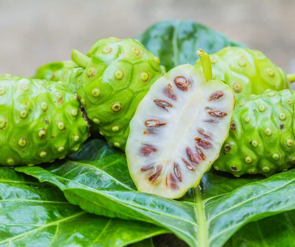 Discover the Health Benefits of Noni Fruit: A Tropical Powerhouse ...