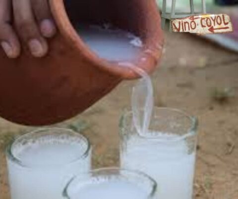The Traditional Elixir of Costa Rica: Coyol Wine - Howlers Costa Rica ...