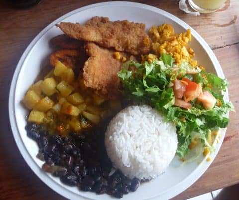 Casado: The Ultimate Costa Rican Plate - Howlers Costa Rica Real Escapes